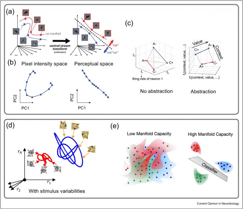 The manifold framework of neural circuits - Geometry Matters