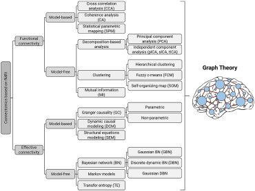 Graph Theory for Identifying Connectivity Patterns in Human Brain Networks - Geometry Matters