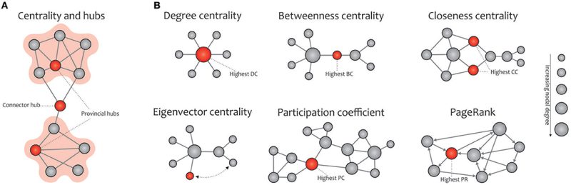 Graph Theory For Identifying Connectivity Patterns In Human Brain